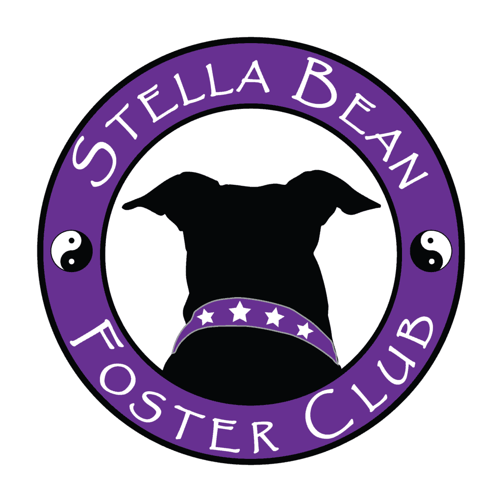 Stella Bean Foster Club | Foster a Senior | Support a Pittie